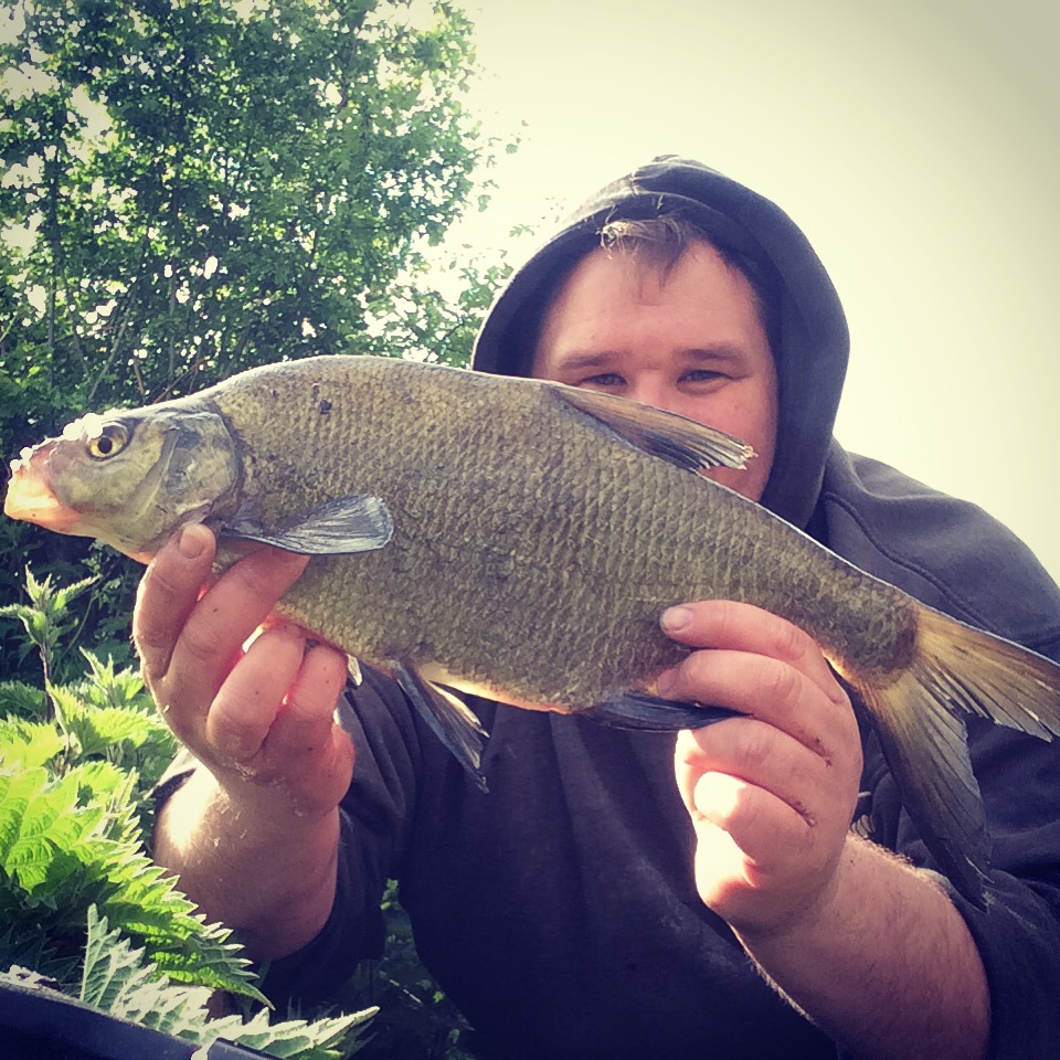 Danny's Angling Blog: All Comes Good Fishing The Bridgewater Canal....
