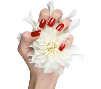 Teresa - Esteticista: Mais uma novidade! GELINHO!