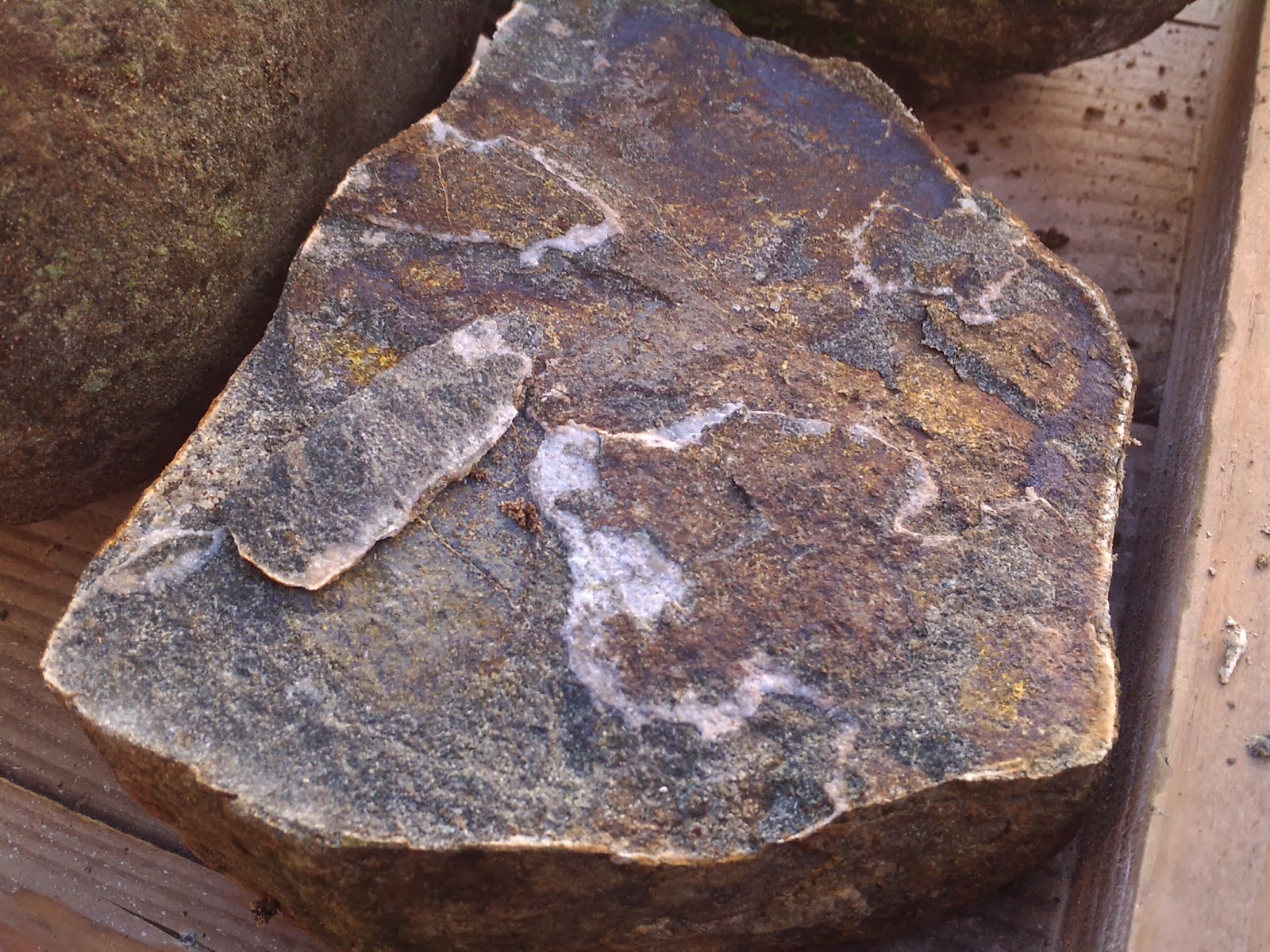 My peculiar nature: The search continues.... native natural sharpening ...