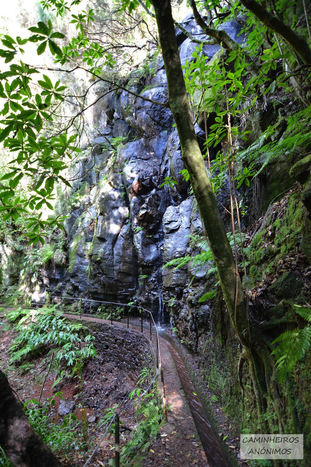 Caminheiros Anónimos Levadas da Madeira : Levada Grande (Achadas da Cruz)