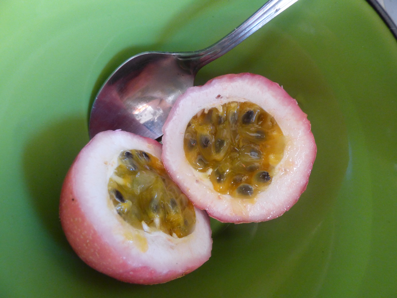 Galley Wench Tales: Ota: My Fijian Ferny Culinary Flop