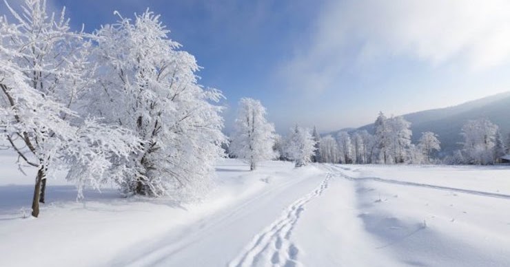 Vivre le Meilleur de Soi : 10 astuces pour un hiver serein et en pleine ...