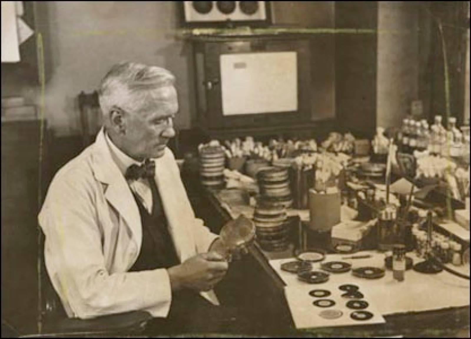 De Lo Humano A Lo Divino Alexander Fleming Y La Penicilina