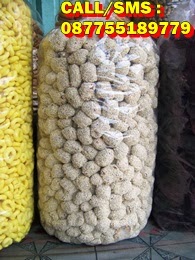 OLEH OLEH KHAS TRENGGALEK