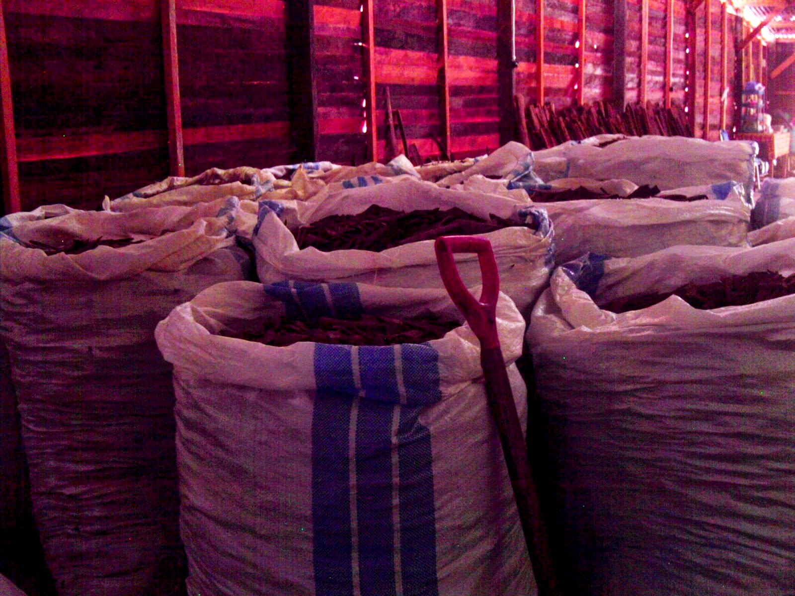 Ransun Group: Kulit Kayu Massoia (Masohi, Mesoyi)