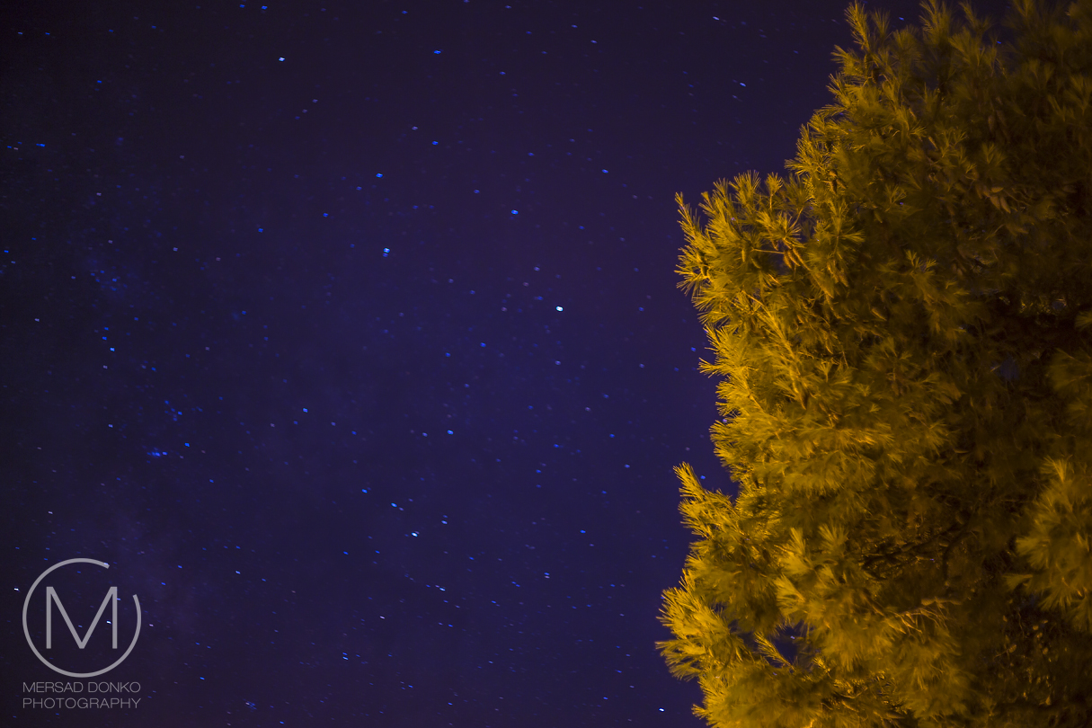 The Universe in Motion: Shooting Star Trails - Emily Photography