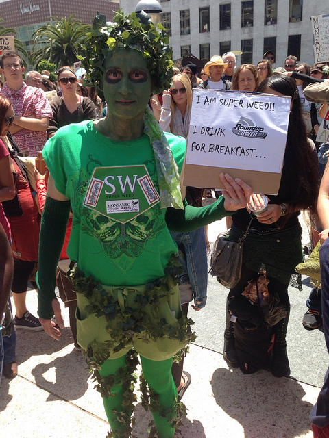 GM-free Scotland: Superfit GM superweeds