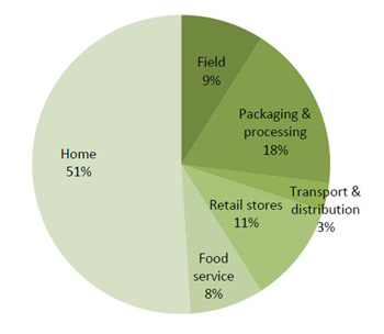 Not Buying Anything: Not Wasting Anything