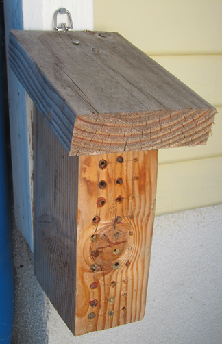 How to Make a Native Bee Nesting Box | Root Simple