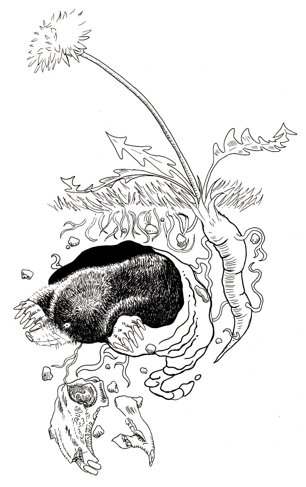 The Folklore of Mole Medicine - VIA HEDERA