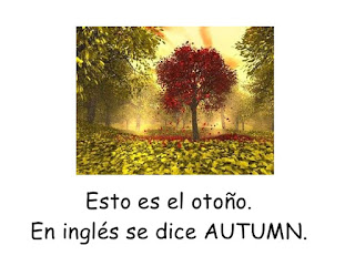 CONOCIENDO LAS ESTACIONES EN EDUCACIÓN INFANTIL: VOCABULARIO EN INGLÉS ...