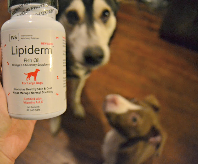 IVS Lipiderm Fish Oil #Pets - Creative Little Carrie