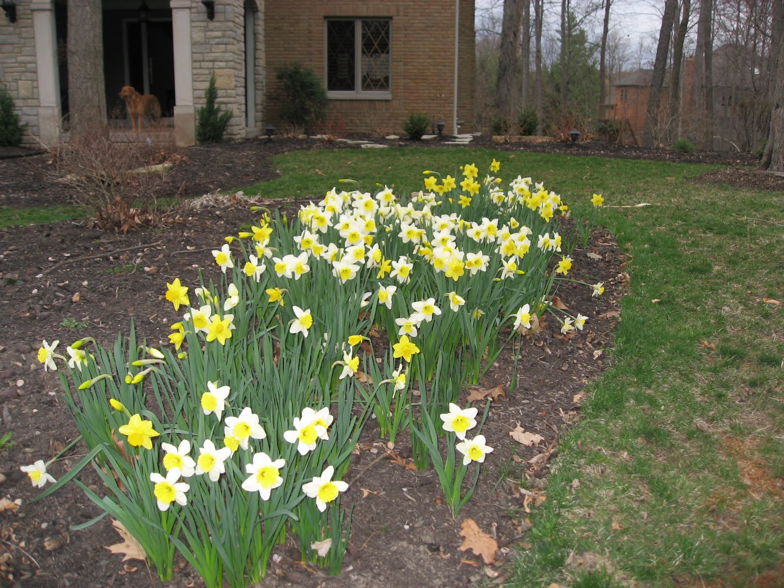 The Bendick Family: Spring in Ohio