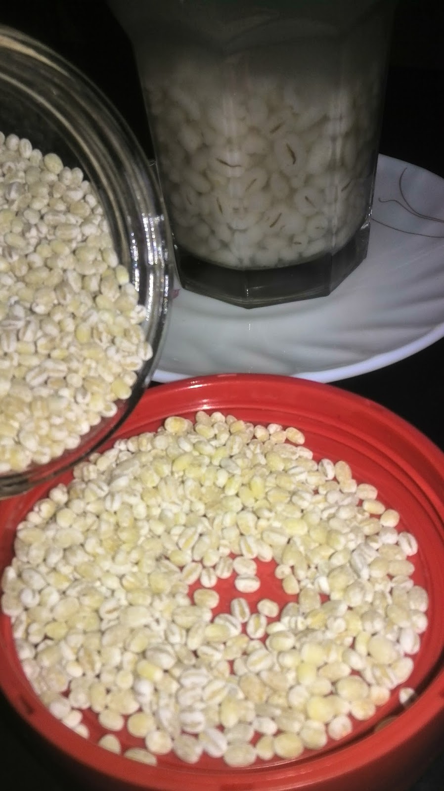 namakucella: AIR BARLI PANAS