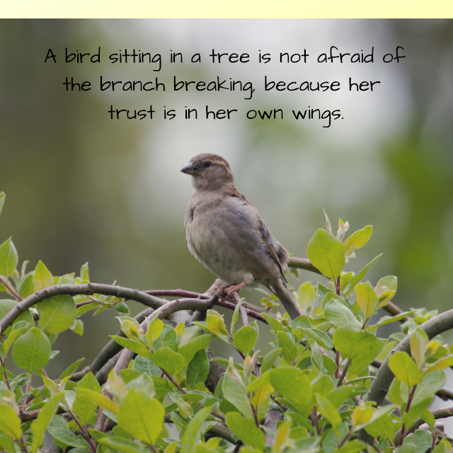 True confidence - Christi Davis Coaching