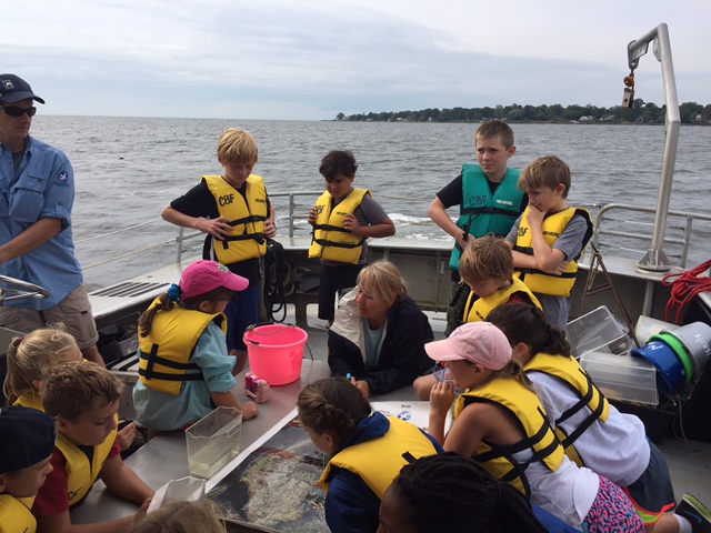 Green Team Gazette: An Impromptu Day on the Bay: Fifth Grade Field Trip ...