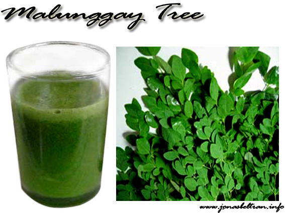 Spiritual and Physical Health Tips