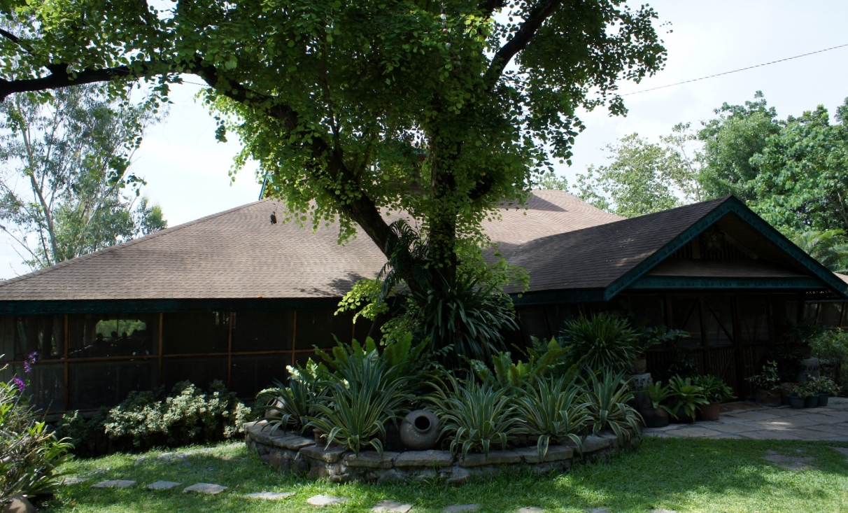 MariaKristela: Beauty on Its Own: Abe's Farm, Pampanga