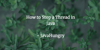 How to Stop a Thread in Java with Examples | Java Hungry