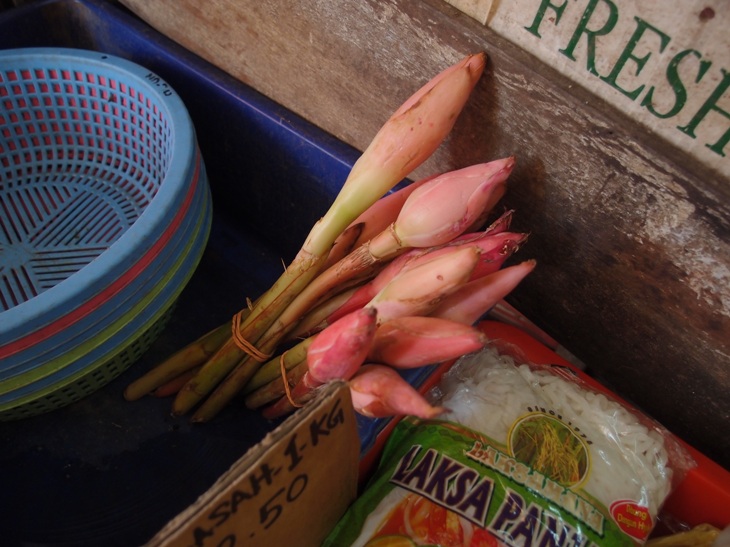 Xing Fu: WHITE BUNGA KANTAN