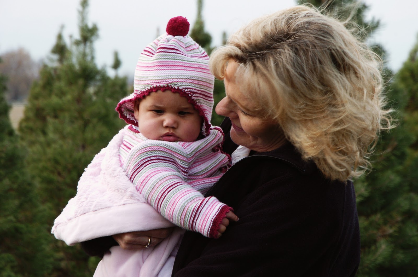 Cicconeland: Ciccone Family 2011