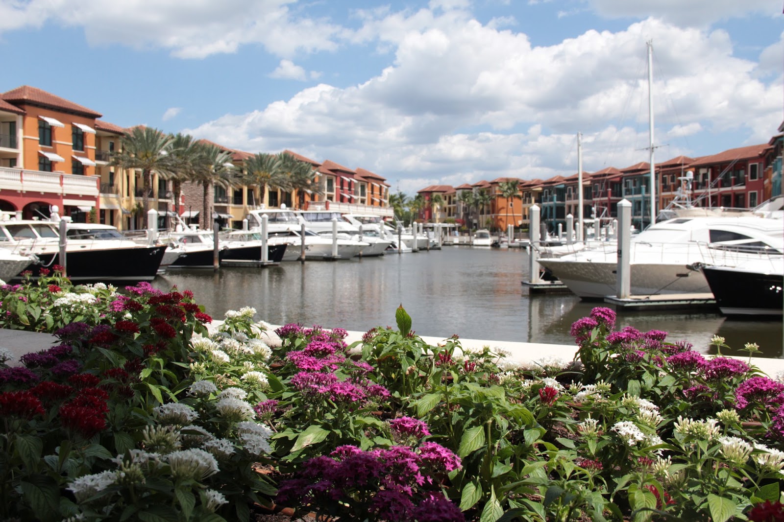 Southwest Daily Images: Naples Bay Resort