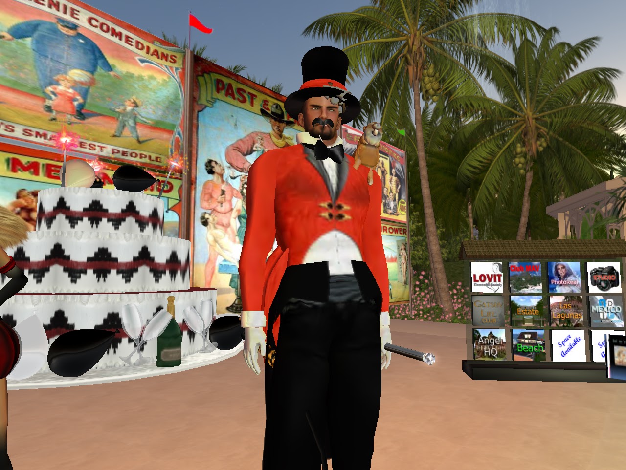 Mariko Nightfire: A Virtual Life: I'm off to join the circus