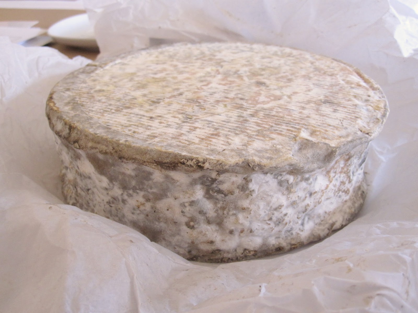 Fly On Little Wing: The Final Frontier: The Cheese School San Francisco ...