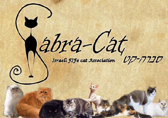 Sabra-Cat - Israeli FIFe Cat Association