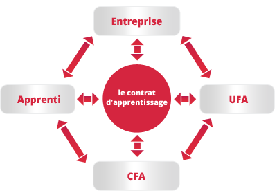 L'alternance après un DUT GEA: Les différents types de contrat en ...