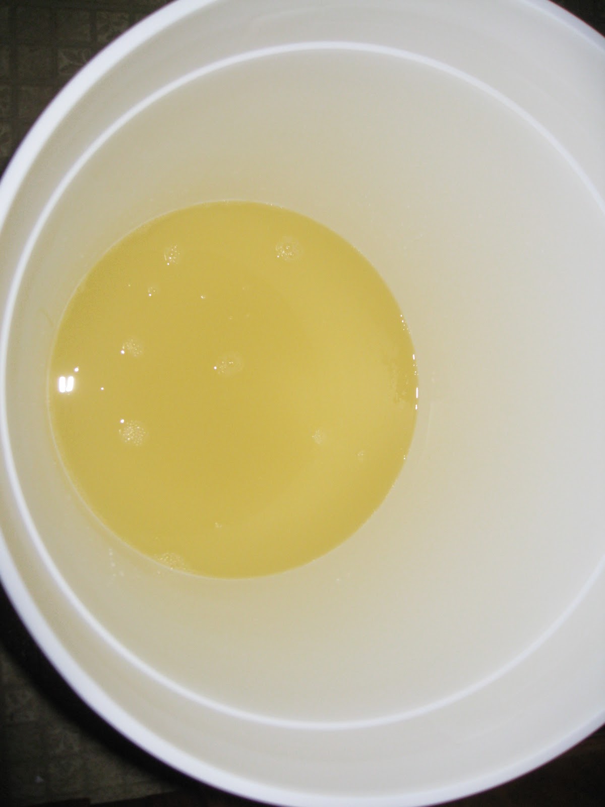 Ryan's Adventures in Winemaking: Day 6- Secondary Fermentation and Day ...