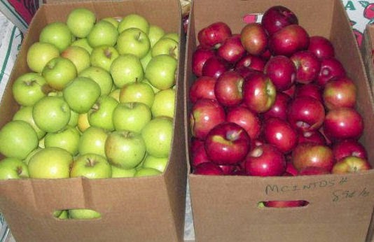 Welcome to Kat's Canning Tidbits I hope you enjoy your visit!: US ...