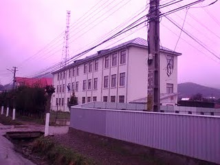 Straja-Bucovina: Institutii