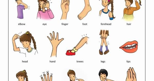 Welcome to the Kindergarten Class Blog: Body Parts