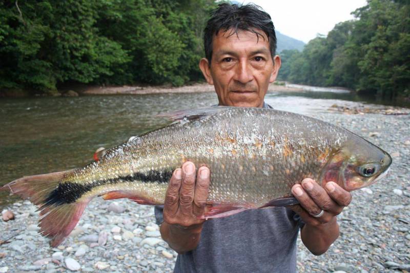 ANGLINGFRONTIERS.COM: FISH SPECIES OF THE BOLIVIAN AMAZON
