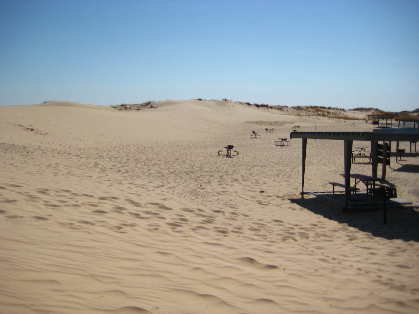 The Desert Chronicles: Monahans Sandhills