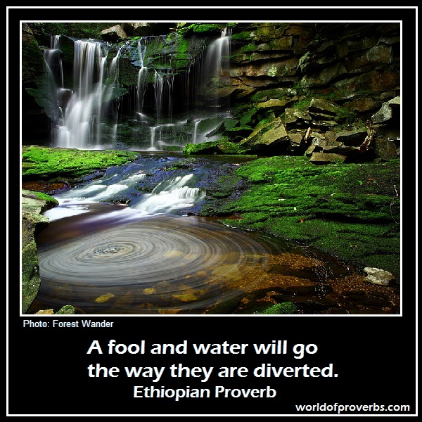 Photo by Forest Wander from Cross Lanes, USA