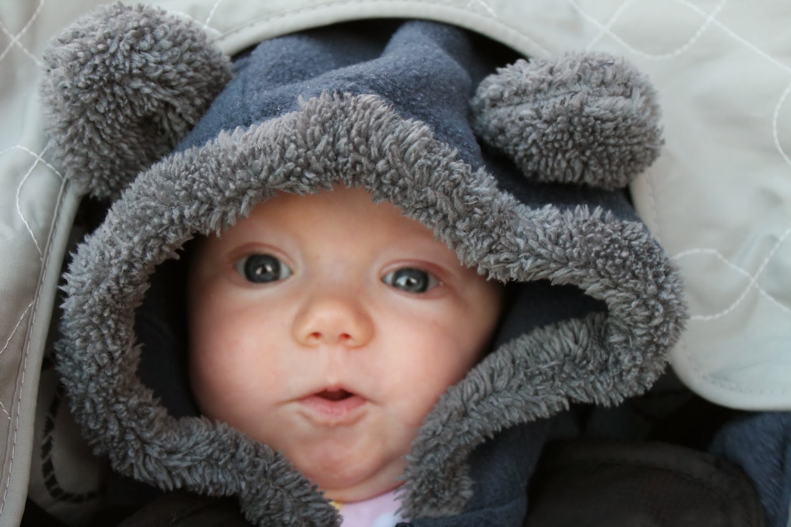 Elizabeth & Co.: Keeping warm and painting through the snow and ice!