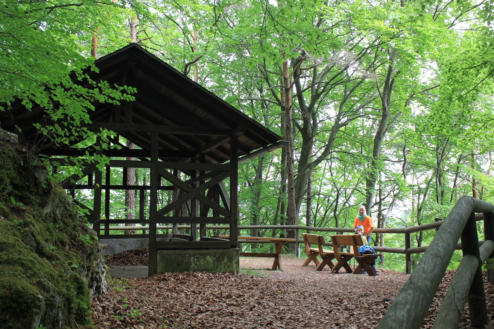 Die Naturdenkmäler rund um Betzenstein