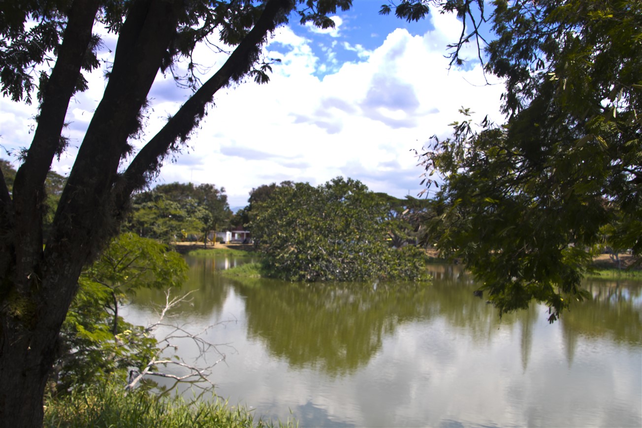 Souvenir Photo Studio, by Al Bourassa: Sunday Jan 27, 2019 Lago Chilicote