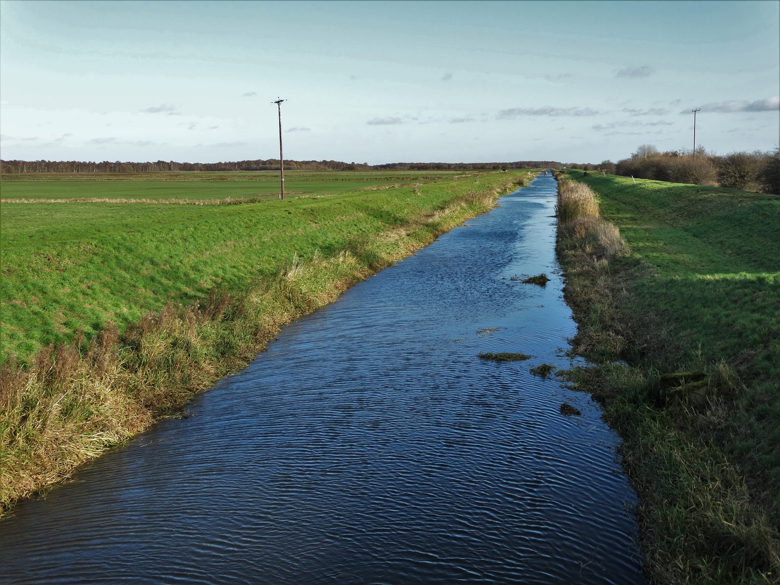 Yorkshire Pudding: Walking
