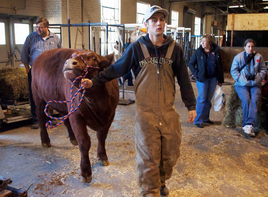 Tomatoes From Canada: Royal Winter Fair