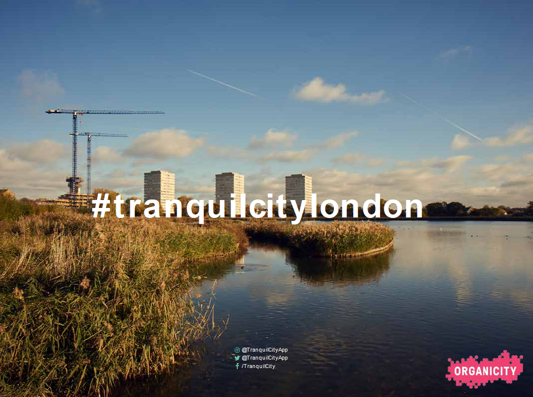 CIBSE Resilient Cities Group Blog: Tranquil City - Curating urban calm ...