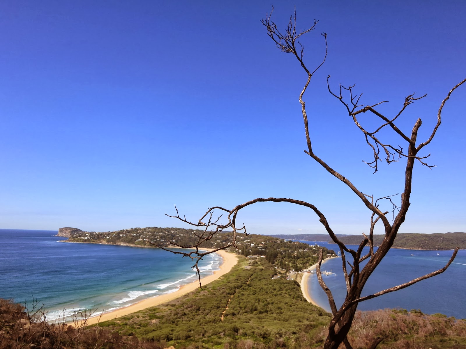 Sydney - Australia: Palm Beach Tombolo