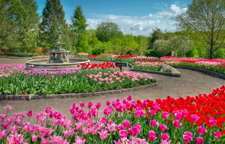 Angélica Italia: LOS MAS BELLOS JARDINES DEL MUNDO..HD