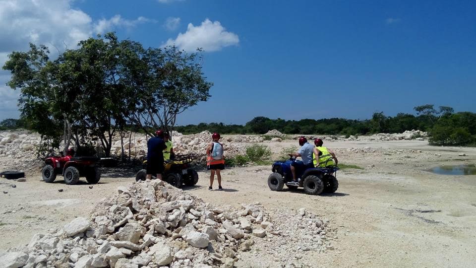 Dos Cats In Merida: Catching up ...