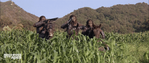 Archives Of The Apes: Planet Of The Apes (1968): The Hunt