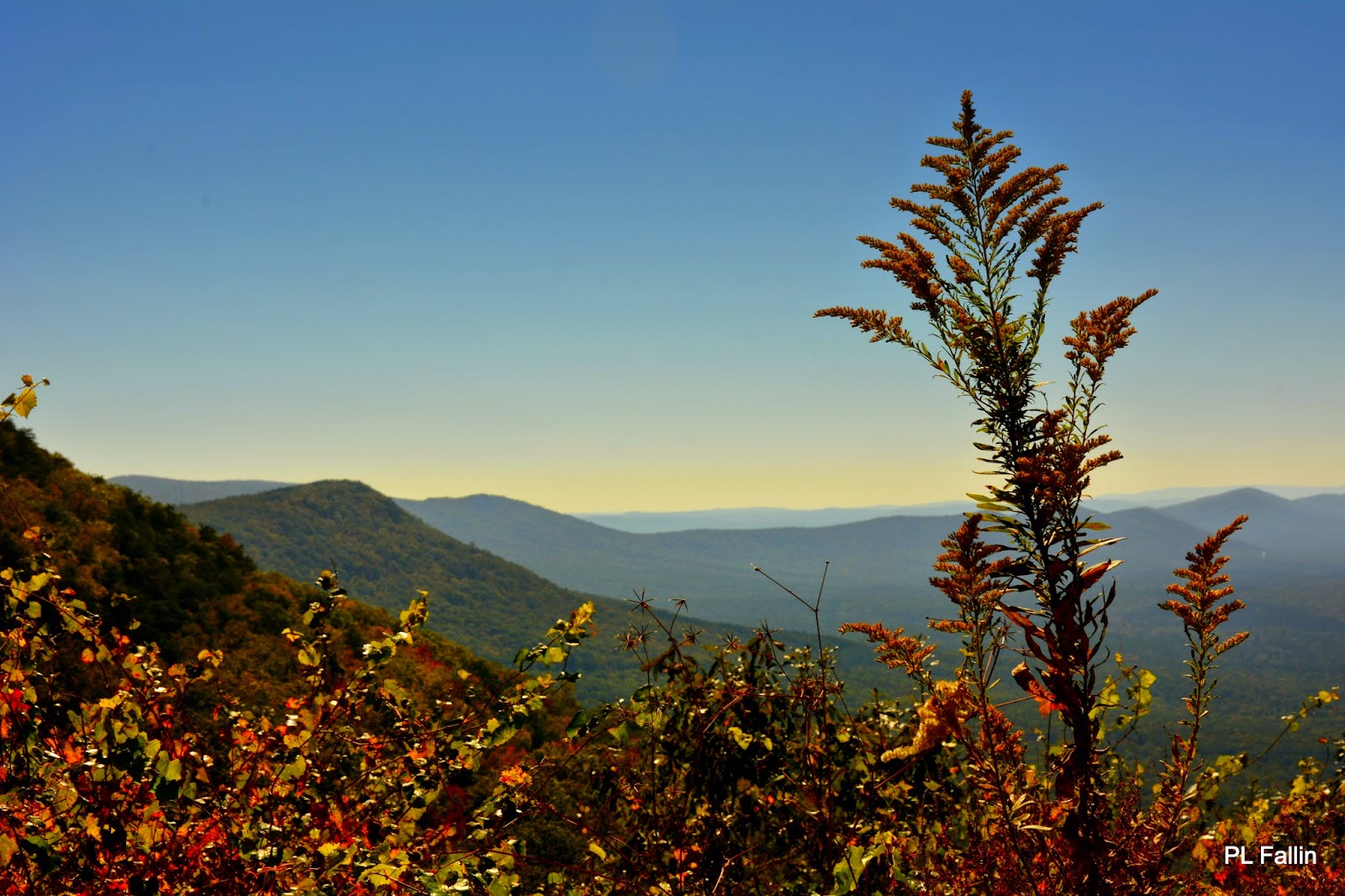 PL Fallin Photography: Cheaha Mountain in Early Fall