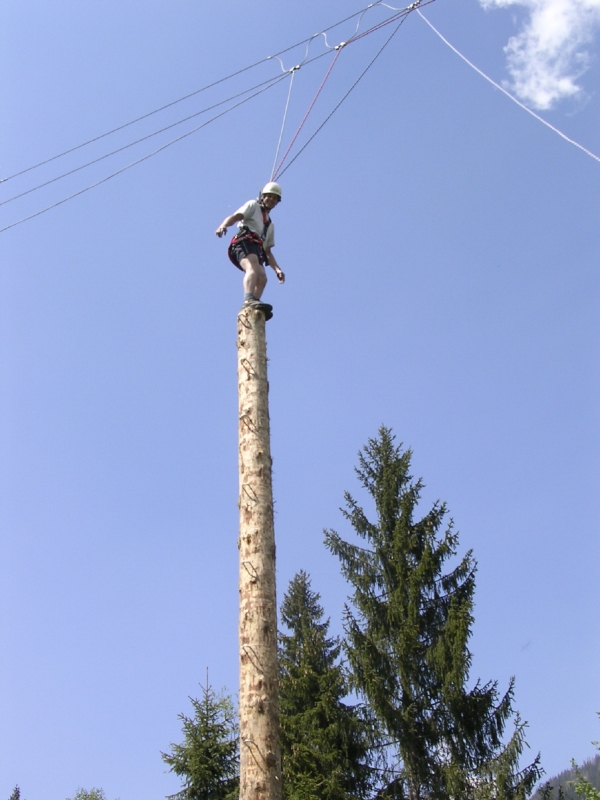 Carpe Keyboard: Up the Pamper Pole .... or Writing as an Extreme Sport