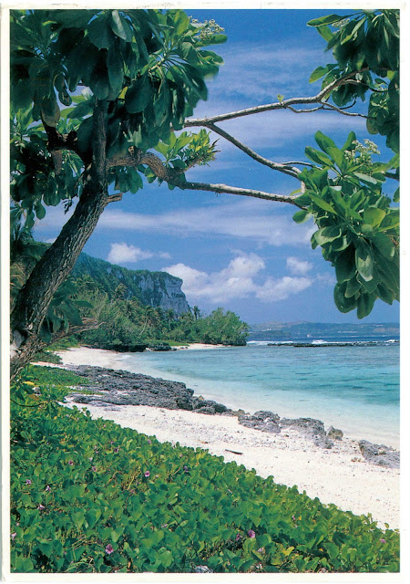 Wax On Daniel-san — Postcards: Guam